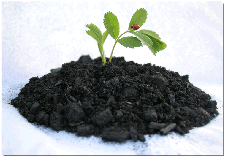 Biochar | Biomass Pyrolysis | PyroTech Energy